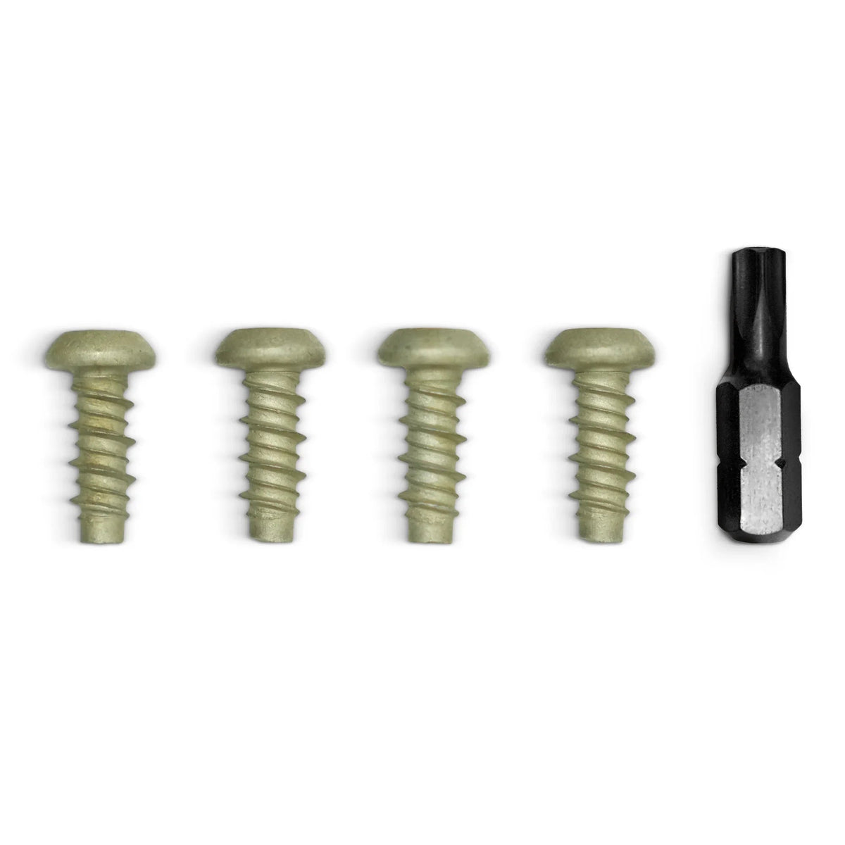 Ford Truck Tail Light Security Screws by Miller CAT | Otter Auto Parts